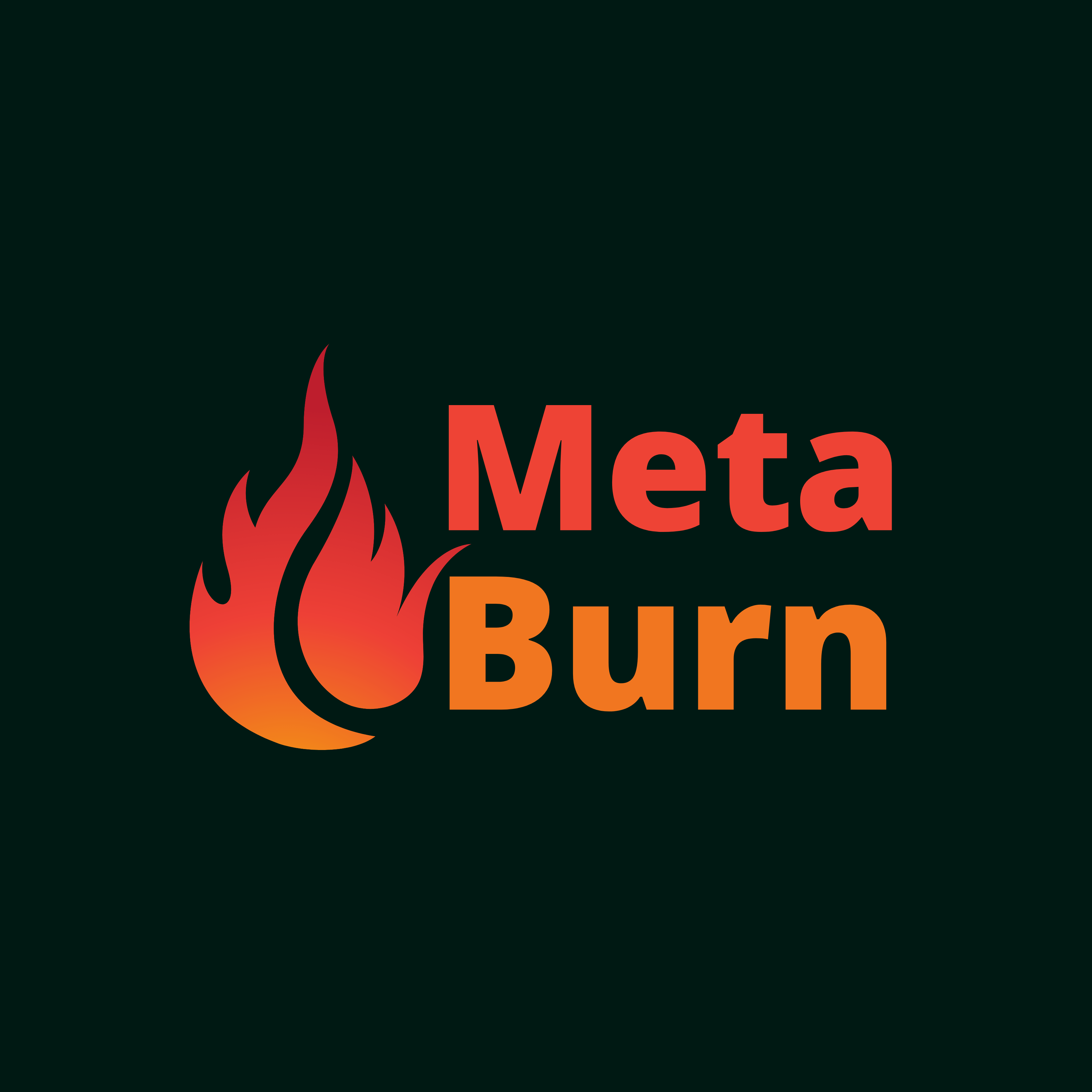 META BURN - El Secreto del Ayuno Intermitente y todos sus beneficios ...