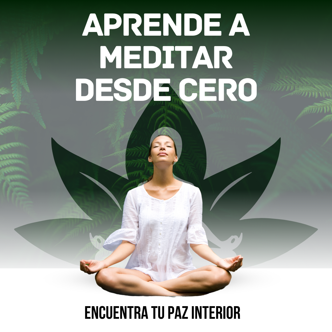 Aprende a Meditar Desde Cero y Transforma Tu Mente: La Guía Definit...