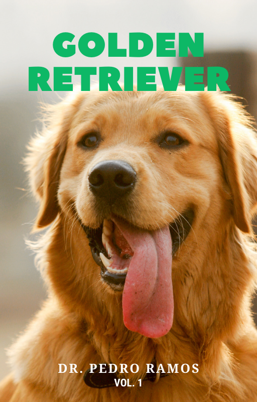 E-Book sobre Golden Retrievers