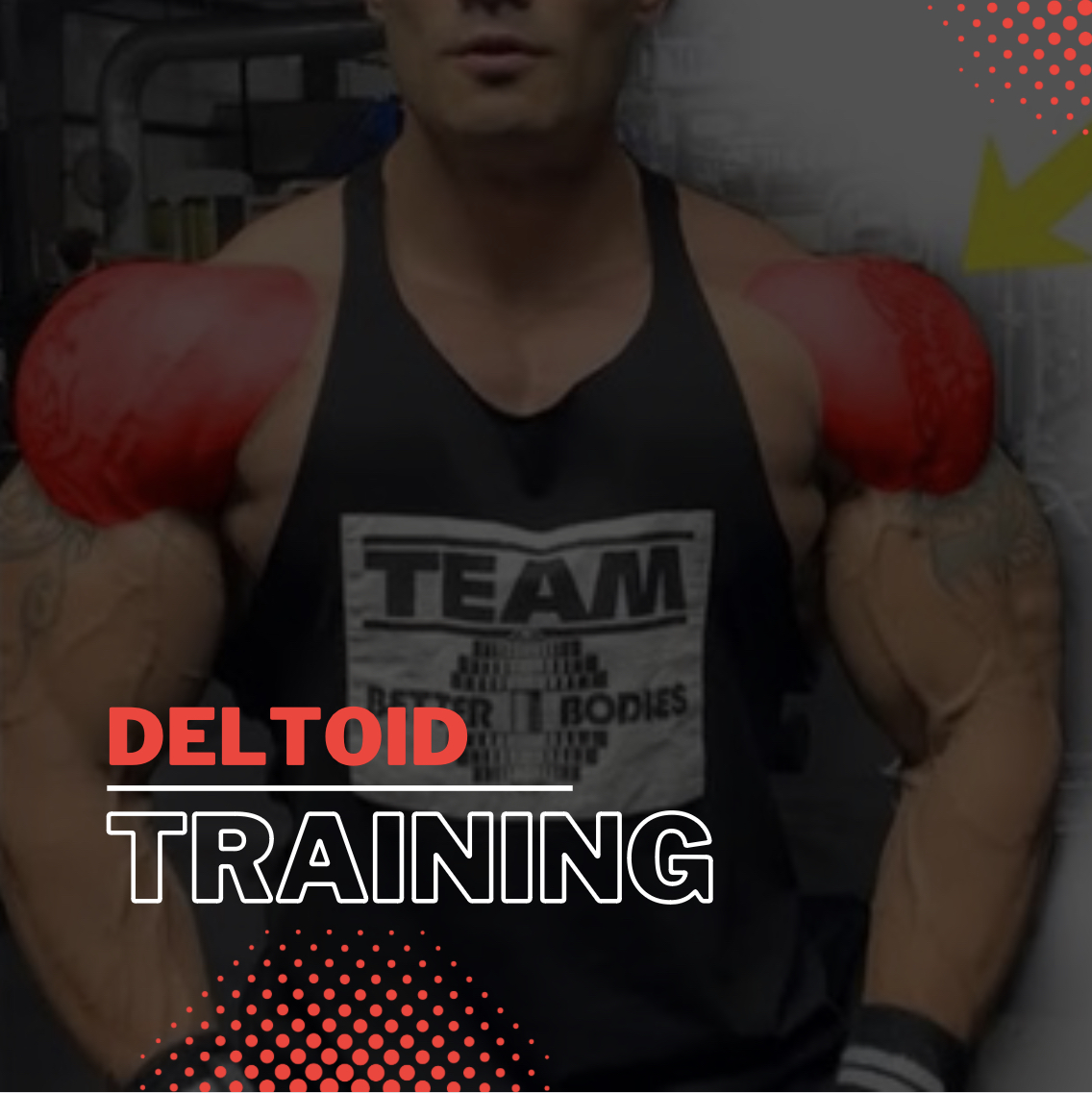 perfect deltoid workout - Víctor Gabriel dos Santos Araújo | Hotmart
