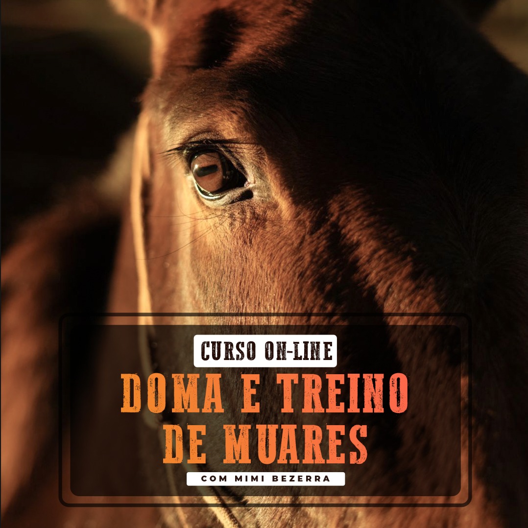 Doma e Treino de Muares com Mimi Bezerra - Blackbox | Hotmart