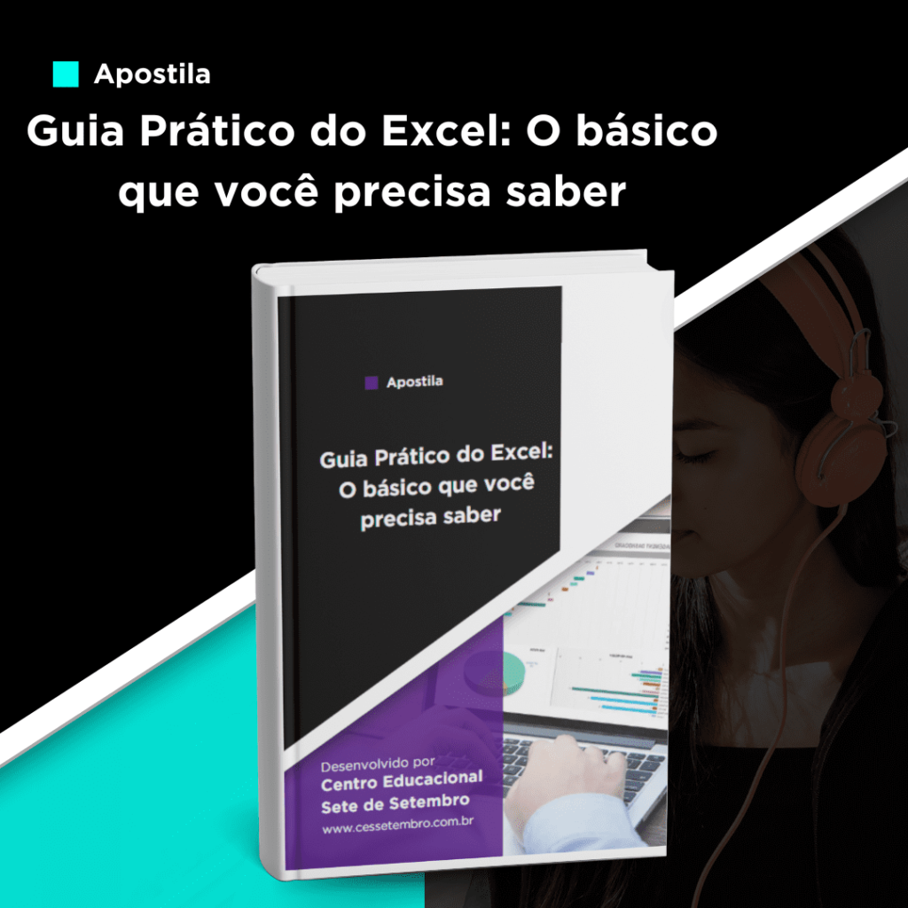 Apostila Guia Prático do Excel: O básico que você precisa saber - C...