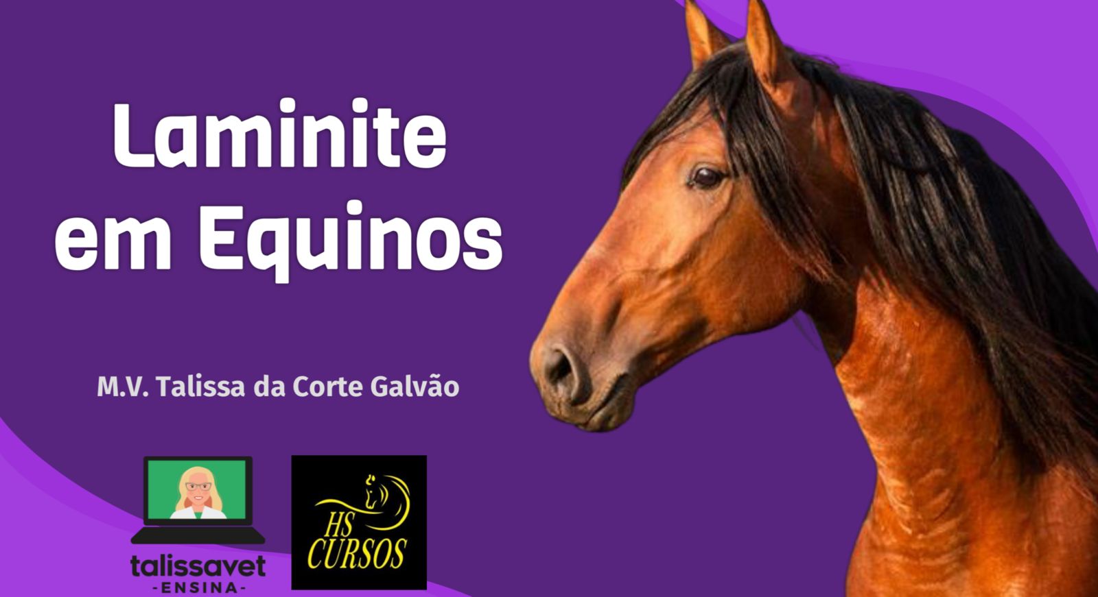 Palestra de Laminite em EQUINOS! - José Henrique Conceição Sampaio ...
