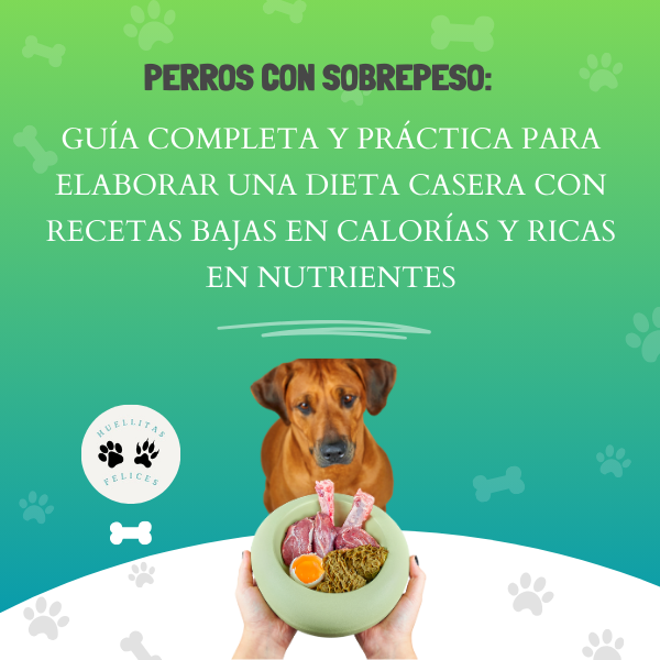 Perros con sobrepeso: Guía completa y práctica para elaborar una di...