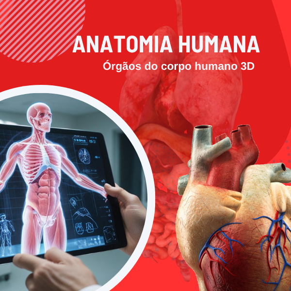 Atlas de Anatomia Humana em Realidade Aumentada - Interactive XP