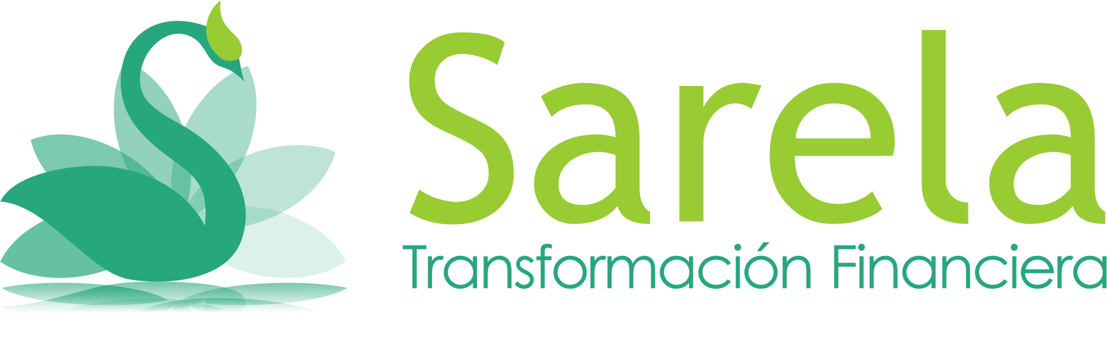Mejora tu relación con el dinero y potencia tus finanzas - Sarela A...