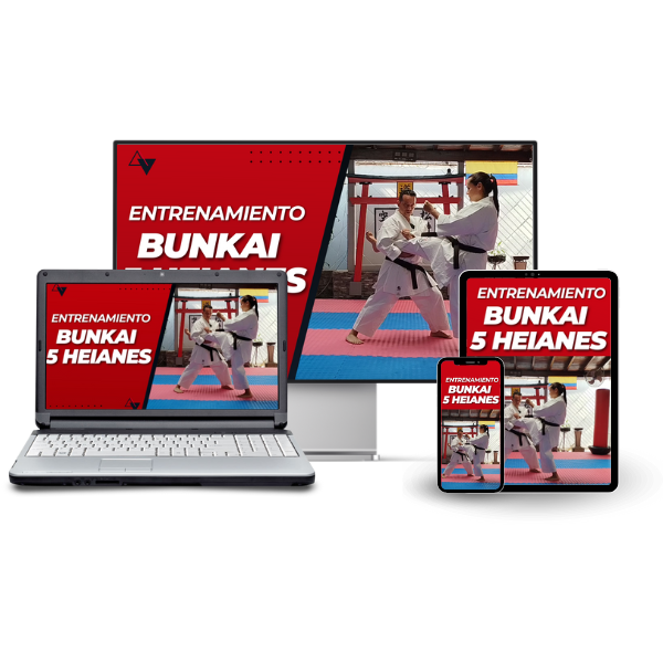 Entrenamiento Bunkai 5 Heianes