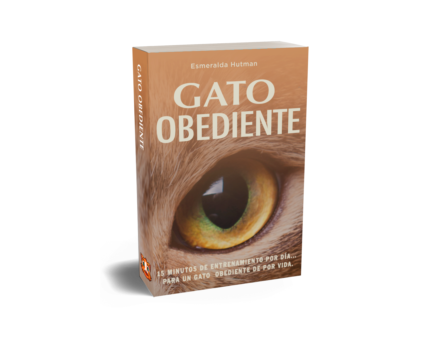 Gato obediente + BONUS