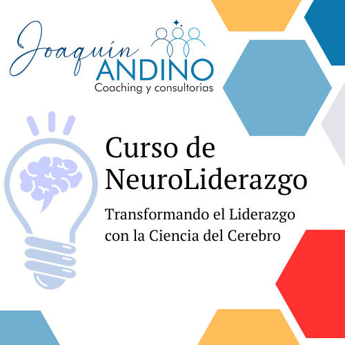 Curso de NeuroLiderazgo: Transformando el Liderazgo con la Ciencia ...