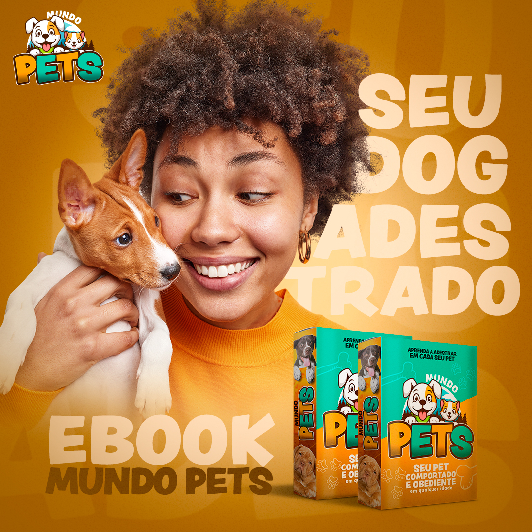 Como Ensinar Comandos E Tornar O Seu Cão Mais Obediente Sociável