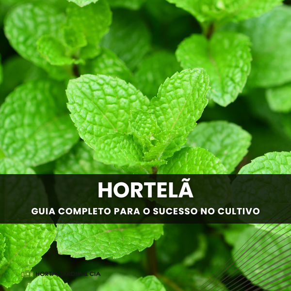 Segredos do Sucesso no Cultivo de Hortelã: Colha Frescor e Lucros n...