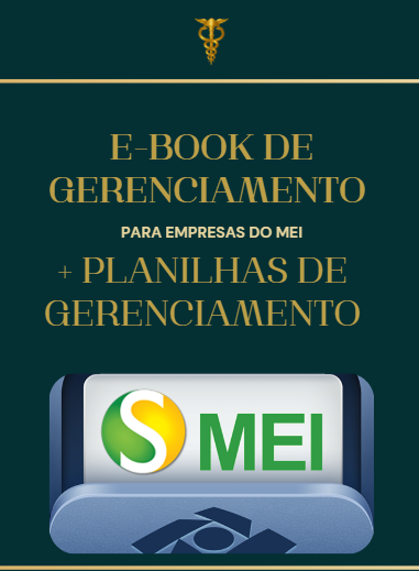 DOMINE SEU MEI: E-book + 2 Planilhas Essenciais para Gerenciamento ...
