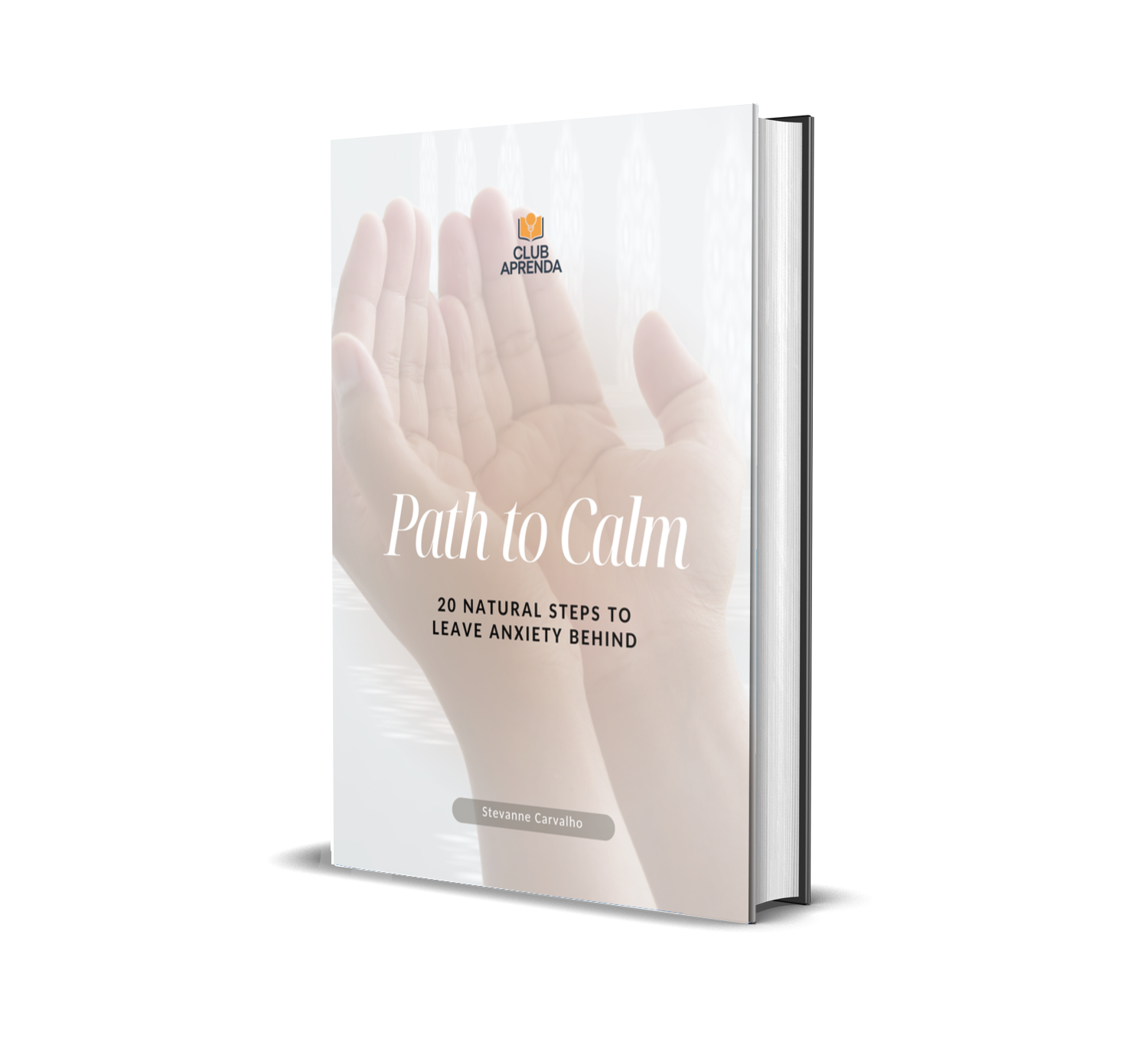 Path to Calm - 20 Simple Techniques to Overcome Anxiety Naturally