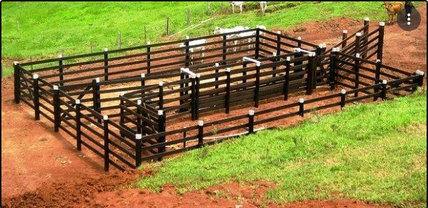 Projeto Curral Pequeno (com Planta, Medidas e Quantitativo) - CAIO ...