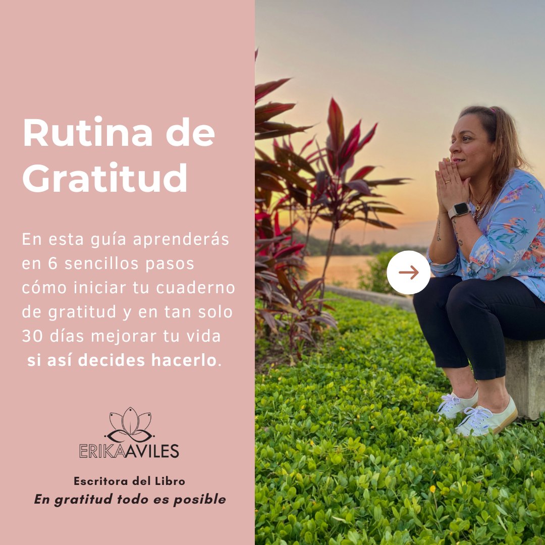 Rutina de Gratitud - ERIKA AVILES SELLAN | Hotmart