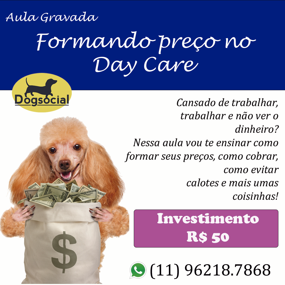 Aula Gravada - Formando Preços no seu Day Care