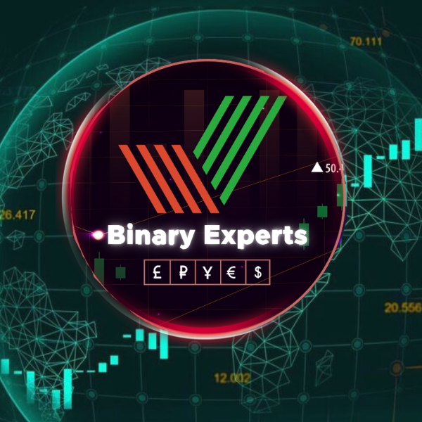 Binary Experts