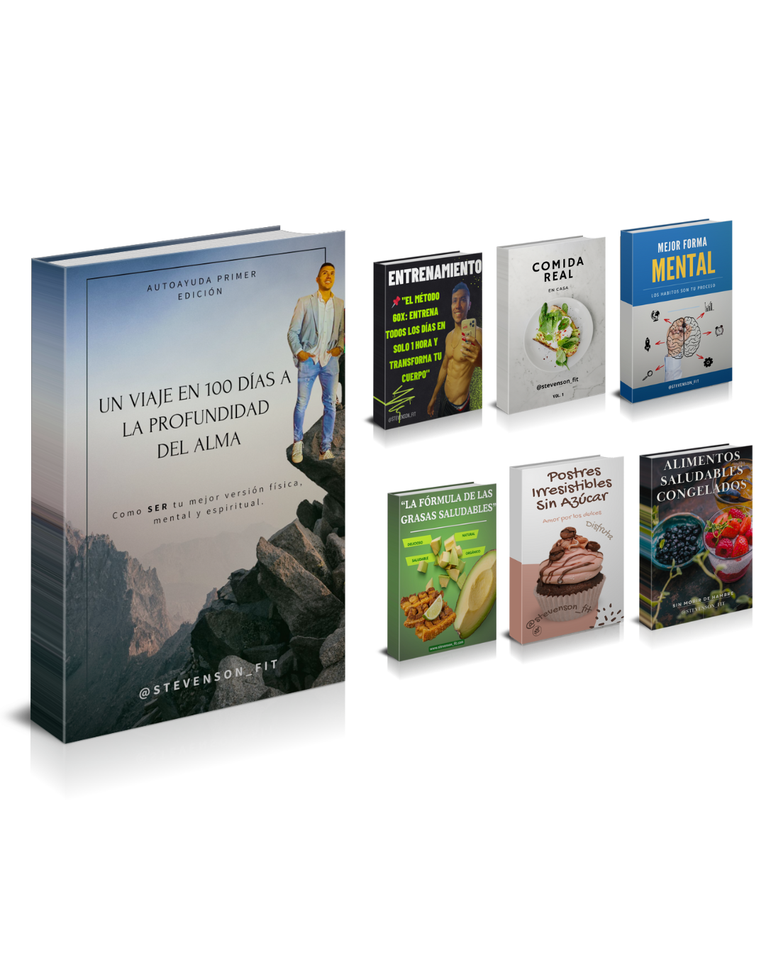 Un viaje en 100 días a la profundidad del alma - STEVENSON CARDENA...