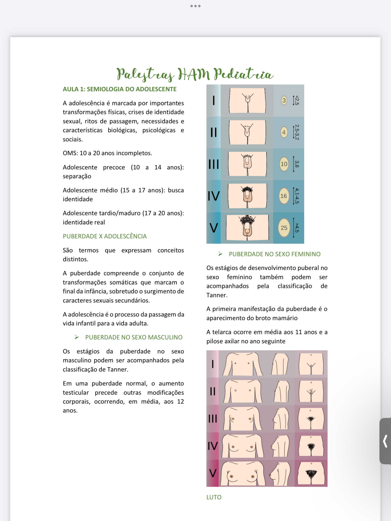 Resumo HAM IV pediatria - Maria Luiza Ferreira de Carvalho | Hotmart