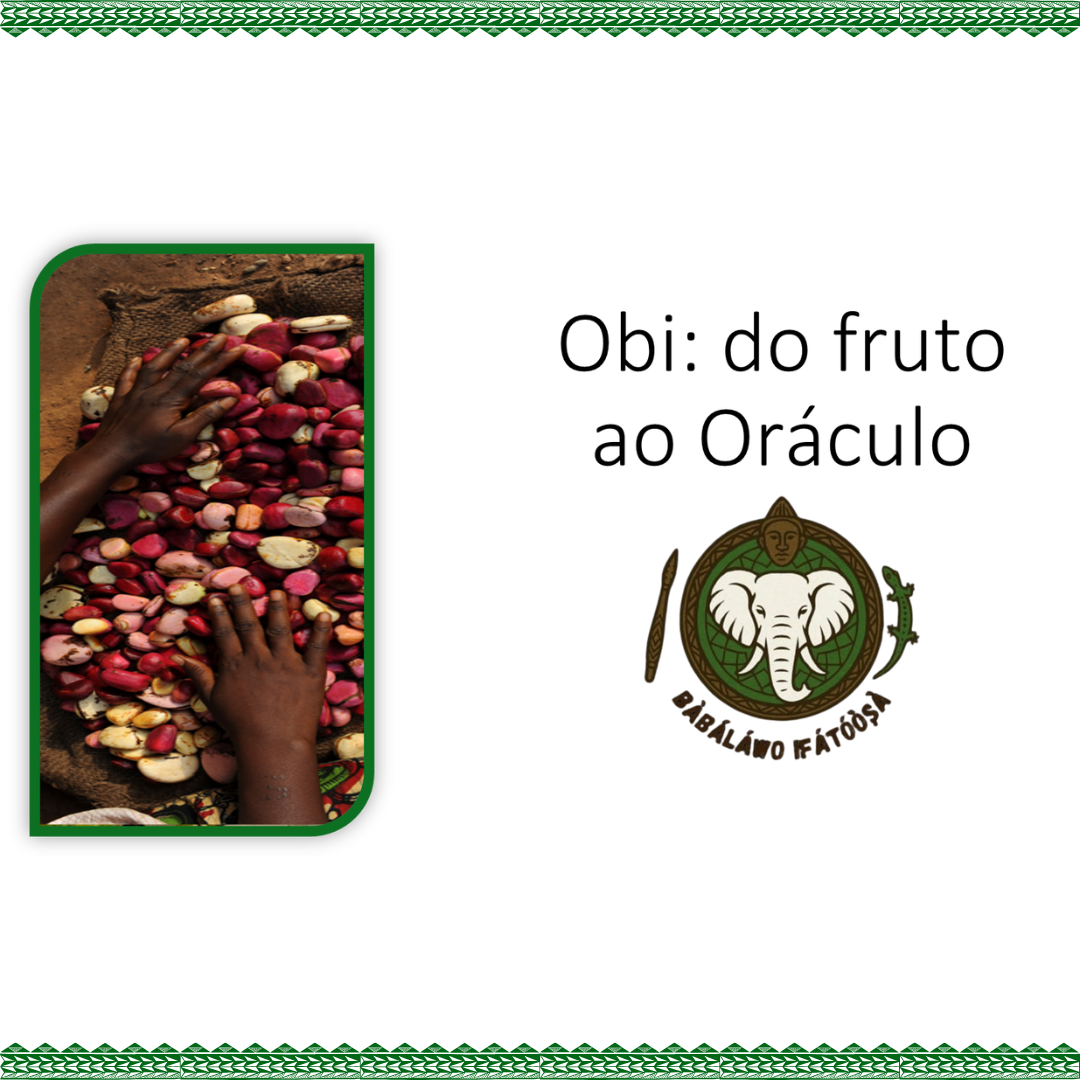 Obi: do fruto ao Oráculo - Bàbáláwo Ifátóòṣà Ọ̀jẹ̀dọlá | Hotmart