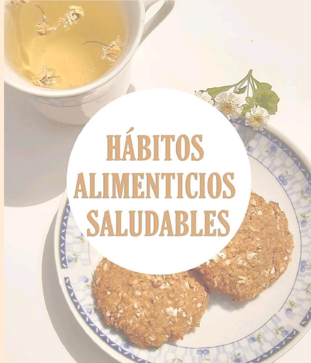 HÁBITOS ALIMENTICIOS SALUDABLES | Hotmart