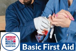 Basic First Aid - BFA (Versão Online)