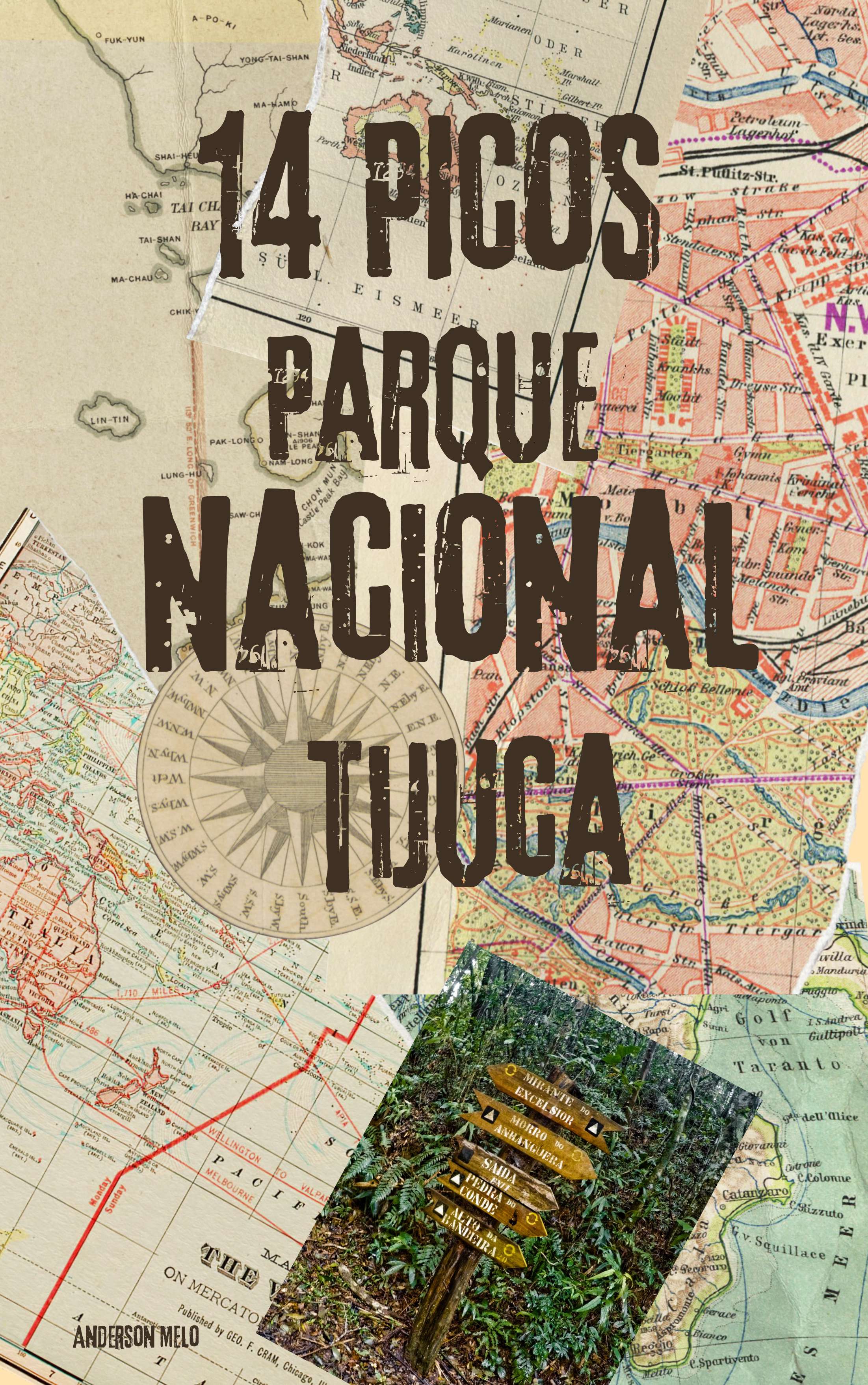Guia dos 14 Picos do Parque Nacional da Tijuca - Anderson | Hotmart