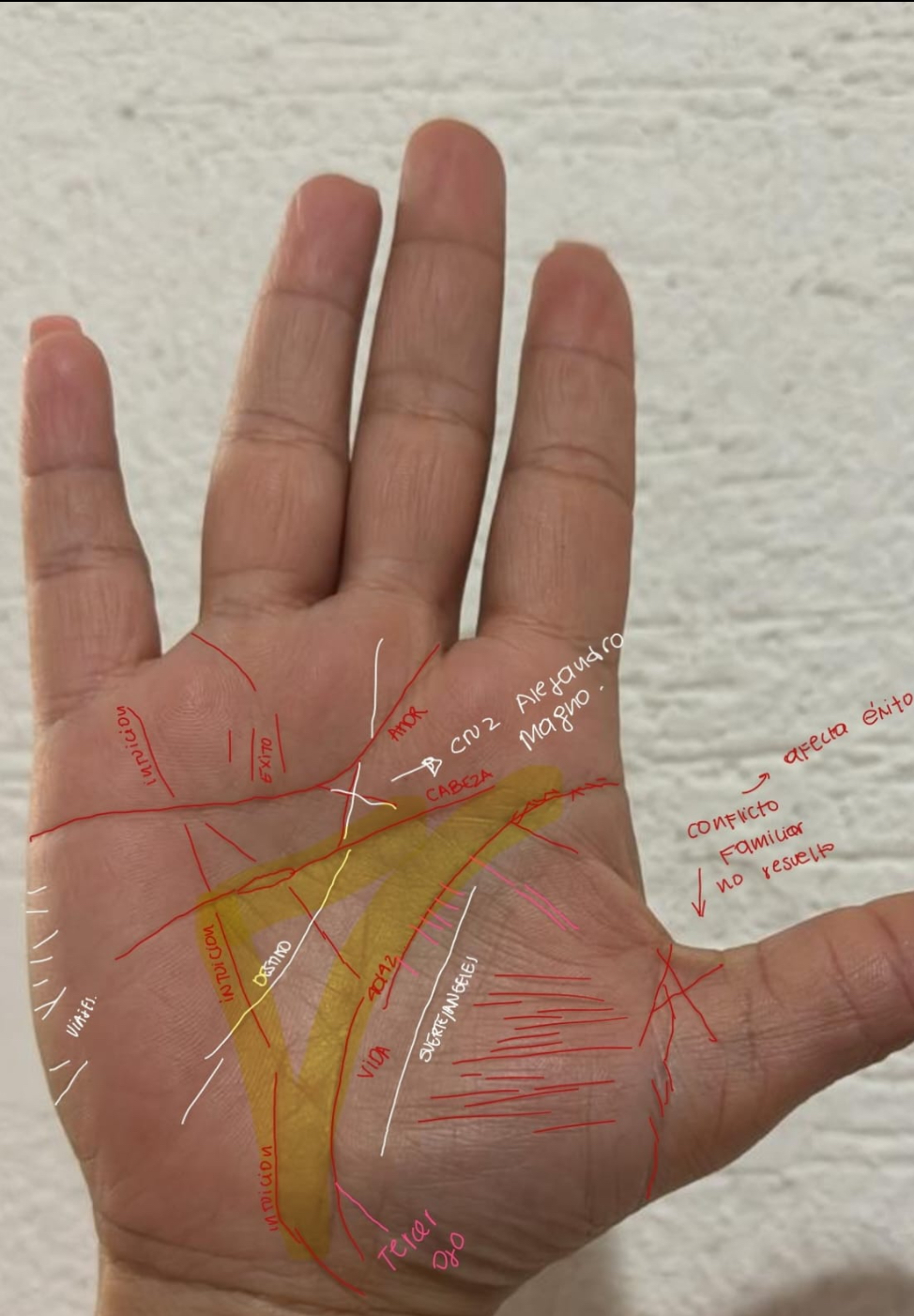 Lectura de manos completa | Lecturademanos.uy