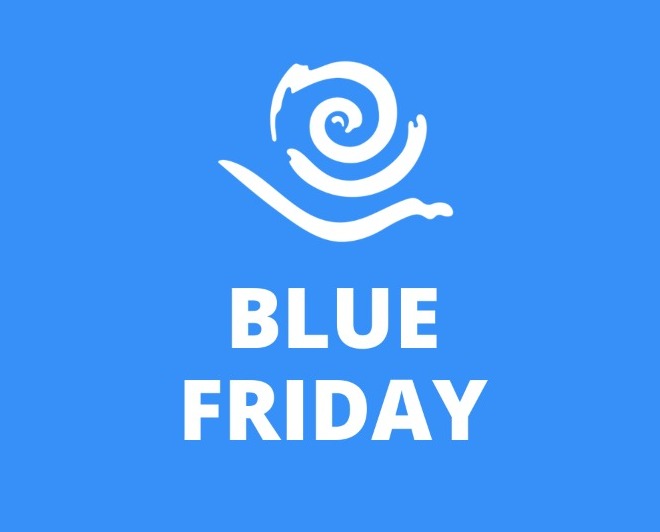 BLUE FRIDAY