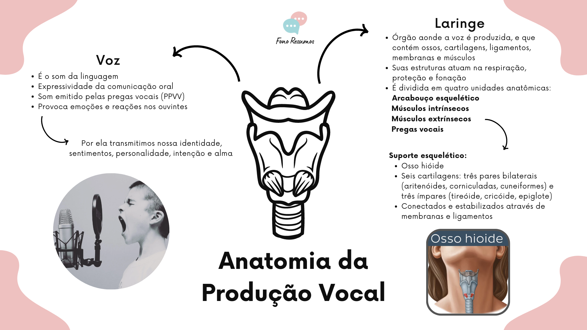 Anatomia Das Cordas Vocais