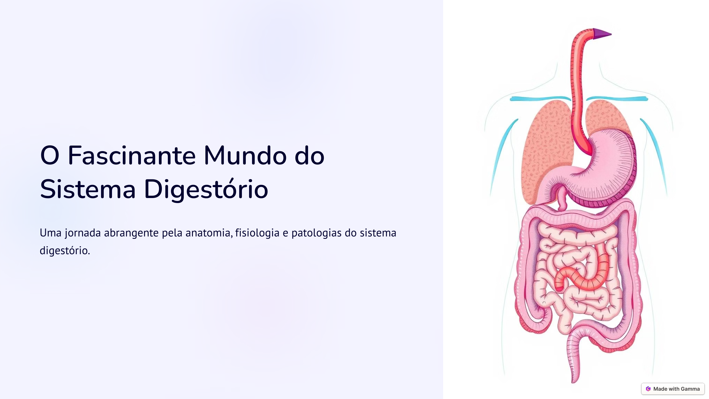 O fascinante mundo do sistema digestório