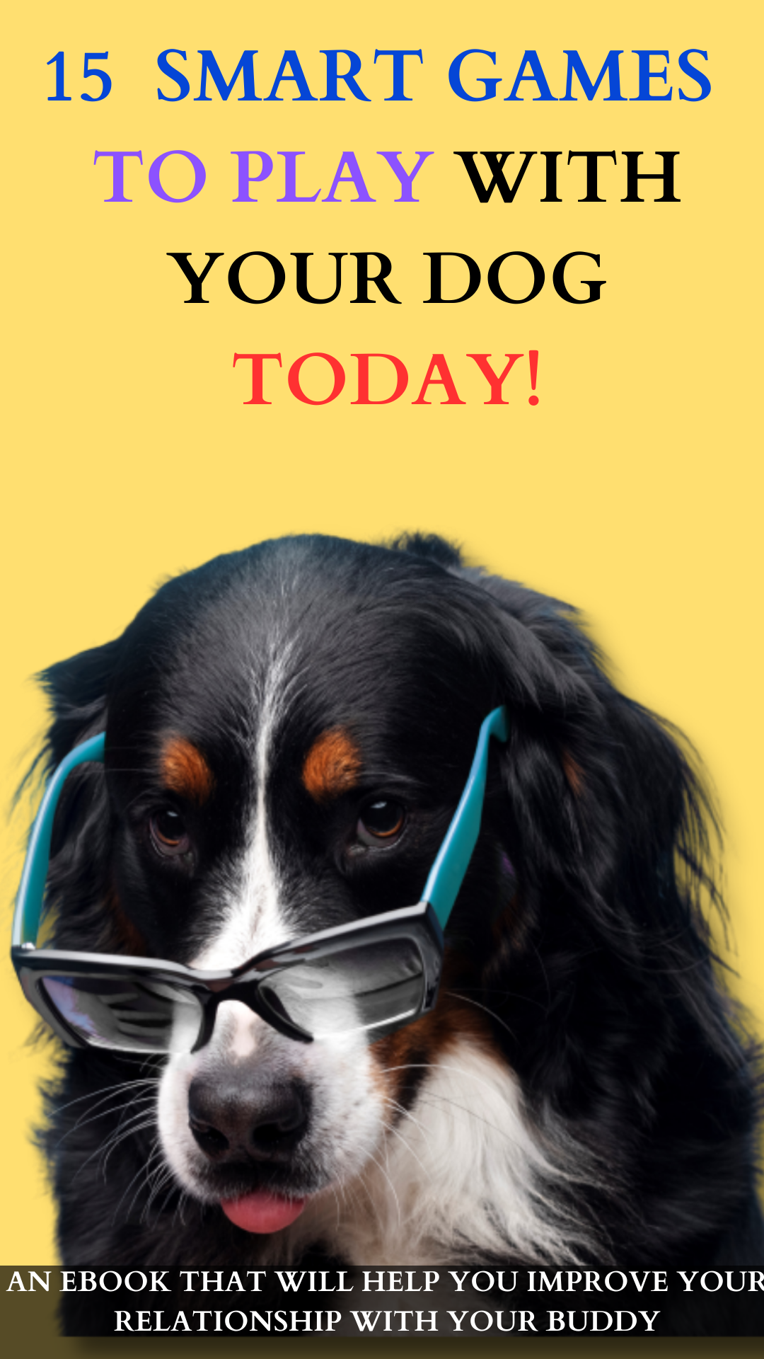 15 SMART GAMES TO PLAY WITH YOUR DOG TODAY!