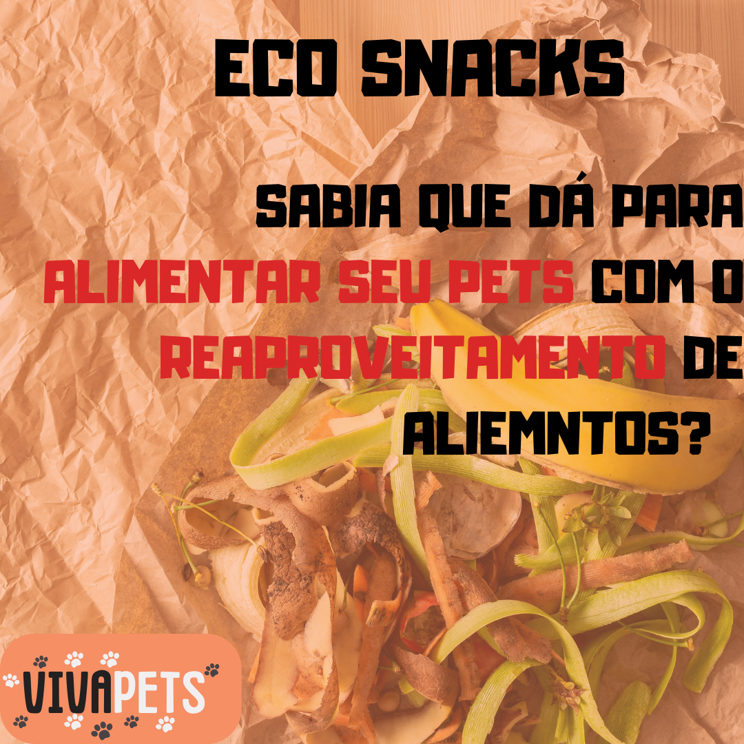 ECO SNACKS SUSTENTÁVEIS - Marcela | Hotmart