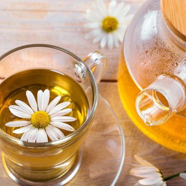 As melhores e mais fáceis receitas de Chás para você começar a redu...