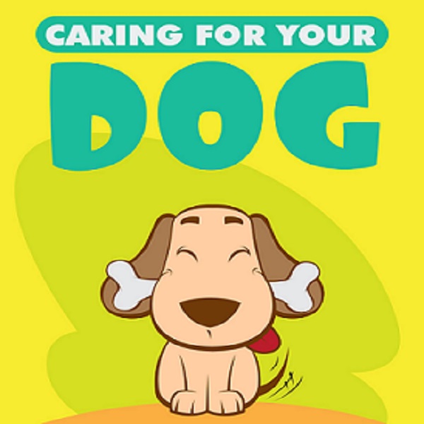 Caring for your dog