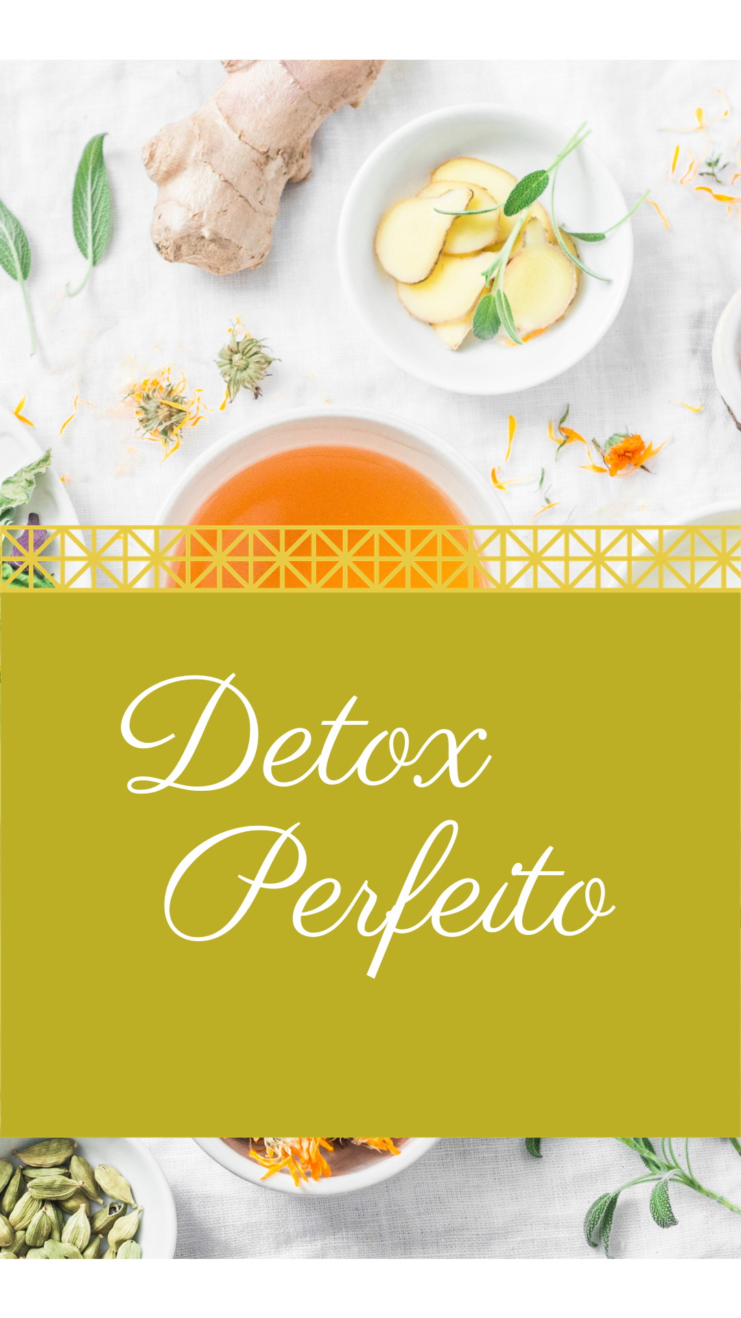 Ebook - DETOX PERFEITO - Érika Santos | Hotmart