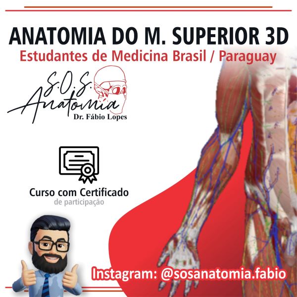 ANATOMIA DO MEMBRO SUPERIOR - Fábio Ferreira Lopes | Hotmart