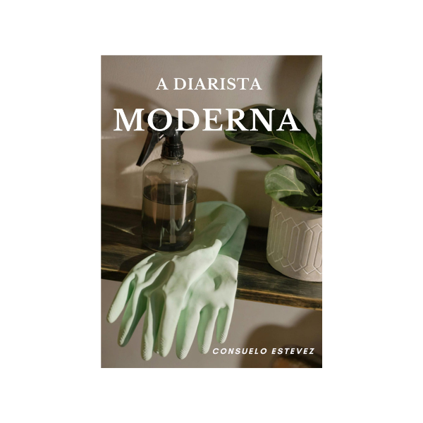 " A Diarista Moderna"