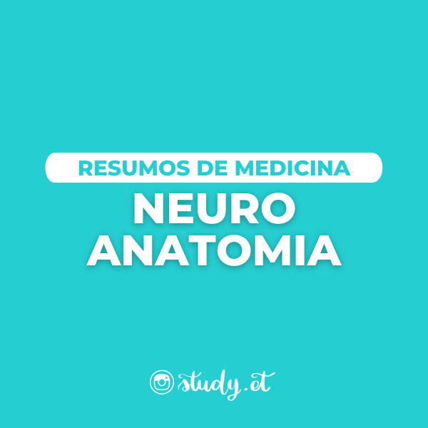 Resumos De Medicina Neuroanatomia Eloon Infoprodutora Digital H