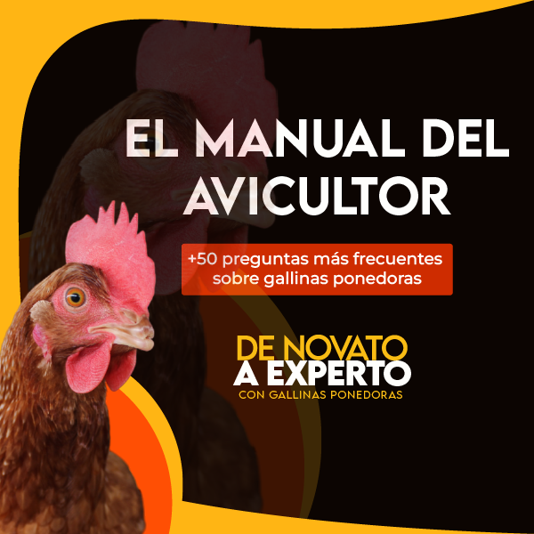 El Manual del Avicultor, 50 Preguntas más Frecuentes Sobre Gallinas...