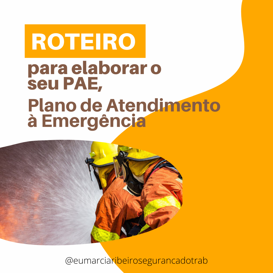 PAE - Roteiro para a elaboração do PAE adequadamente - Márcia Ribei...
