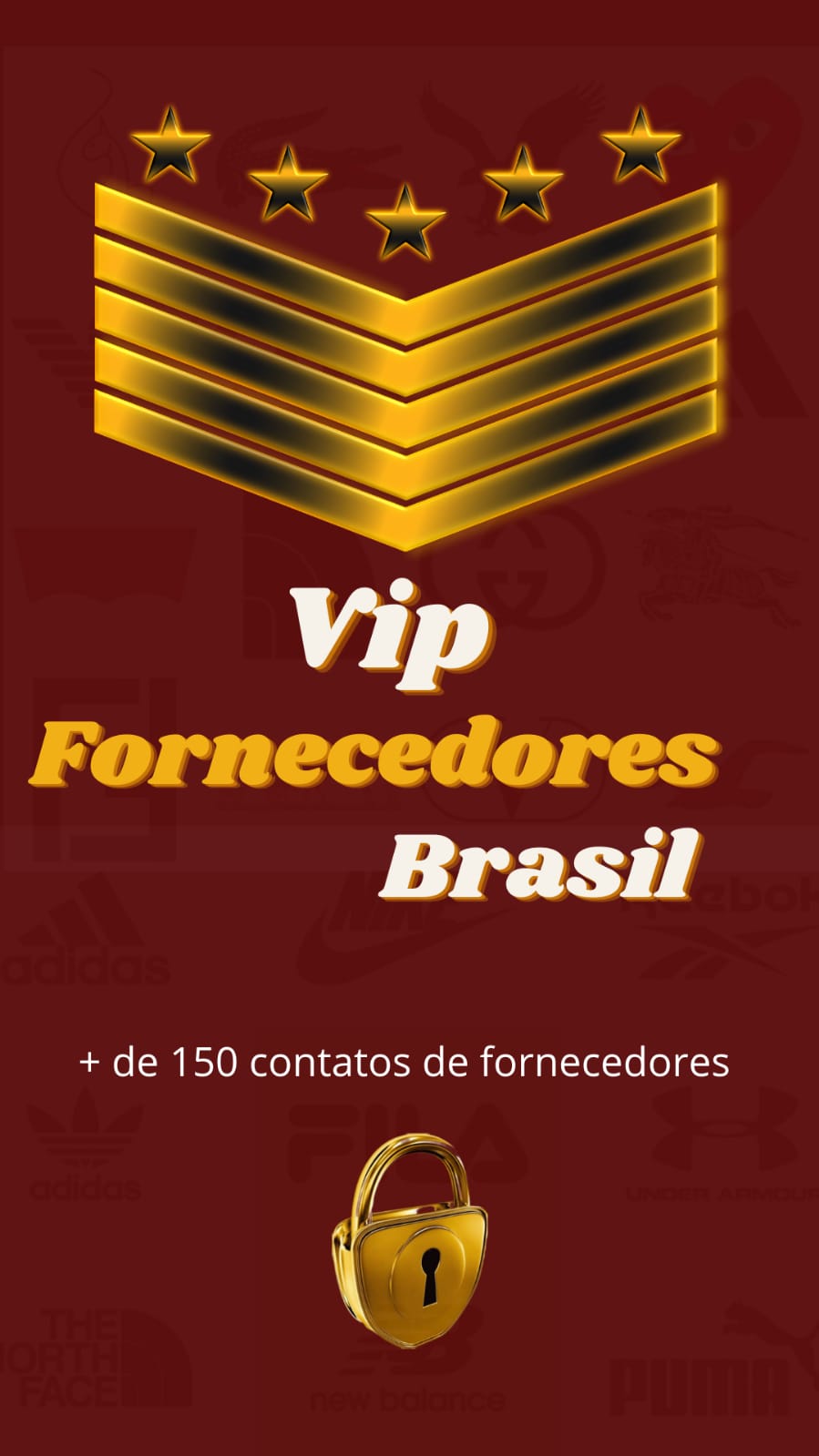 Vip Fornecedores Brasil - Patrícia Bertotti | Hotmart