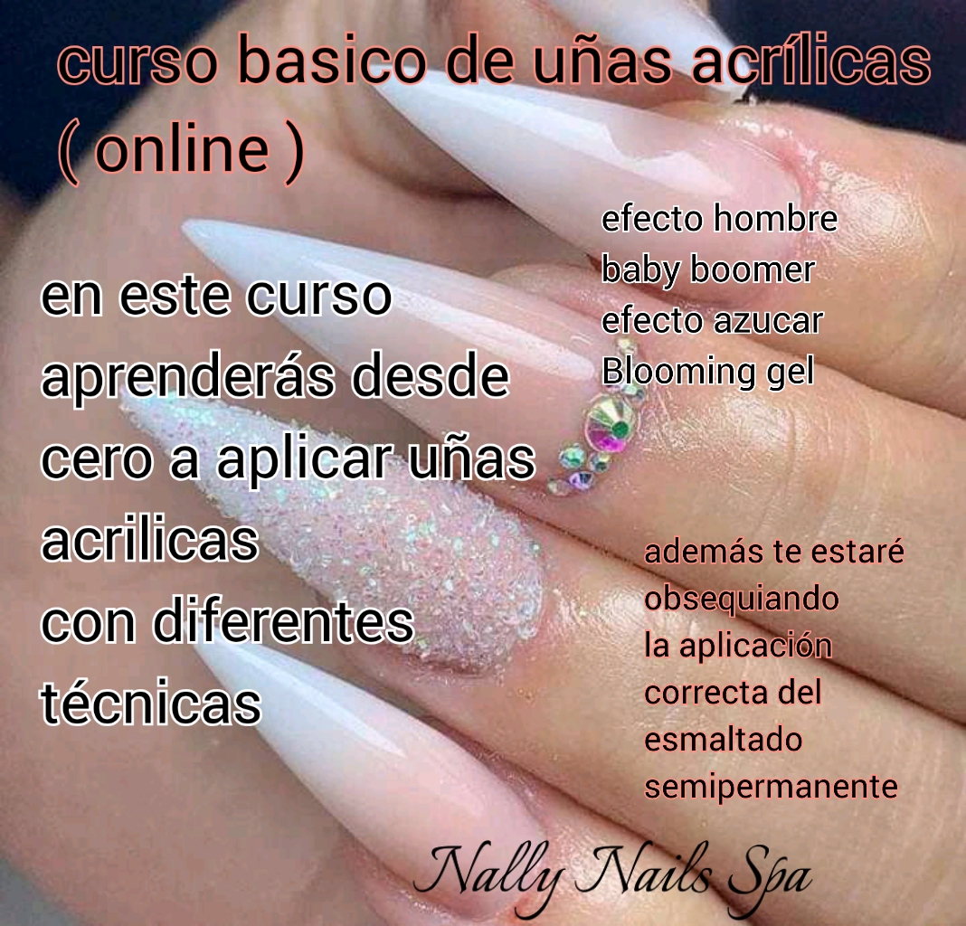 Nally Nails Spa Curso Online
