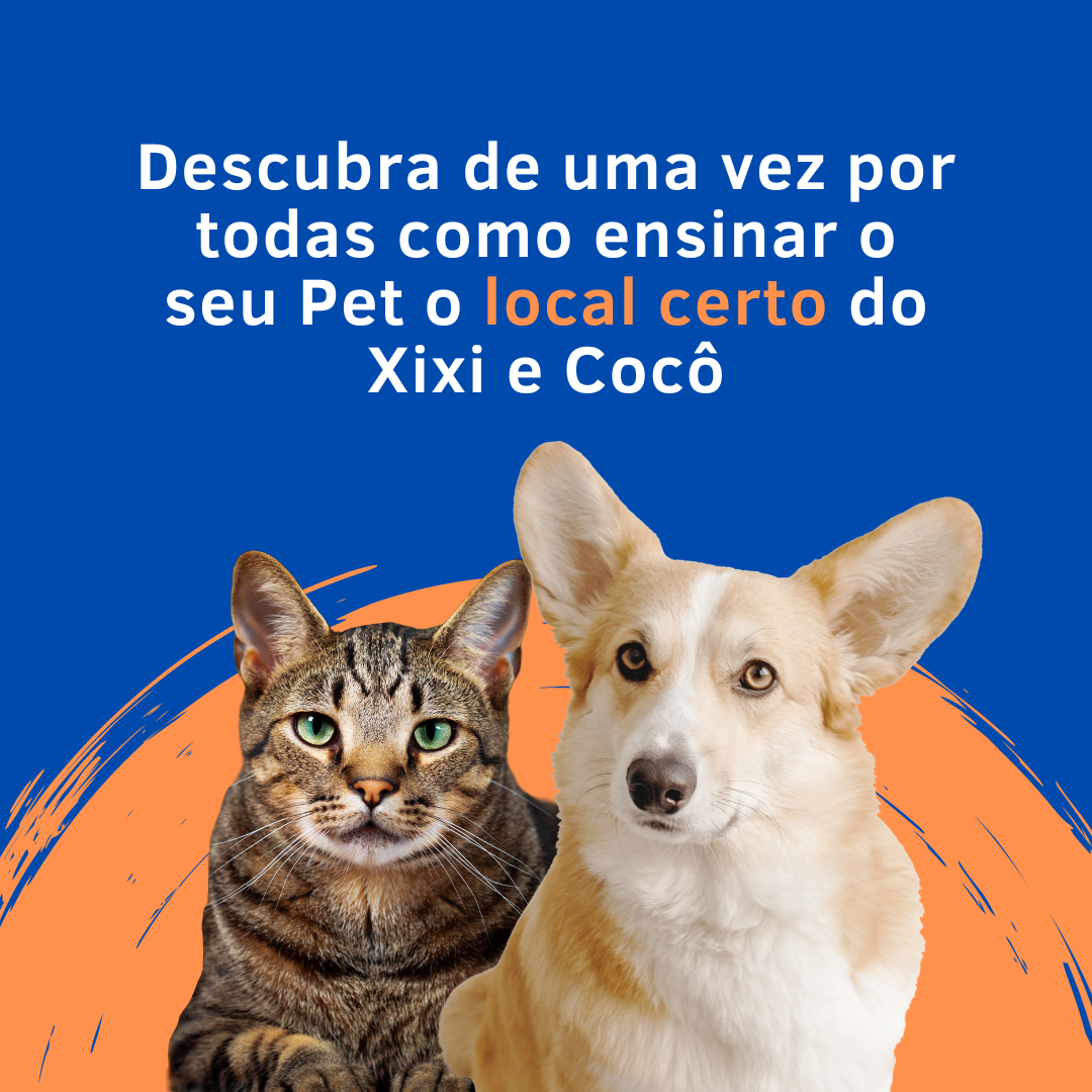 Xixi e Coco no lugar certo - Carlos Fernando dos santos bras | Hot...