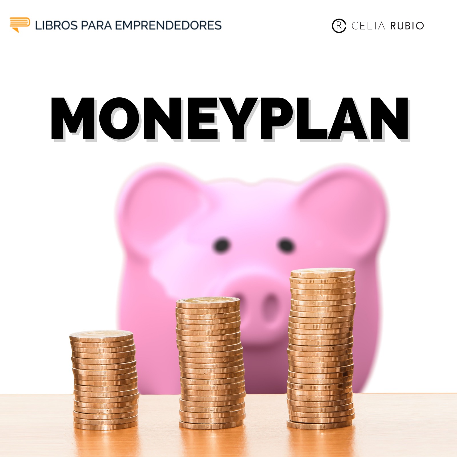 MONEYPLAN - InTheBooks LLC | Hotmart