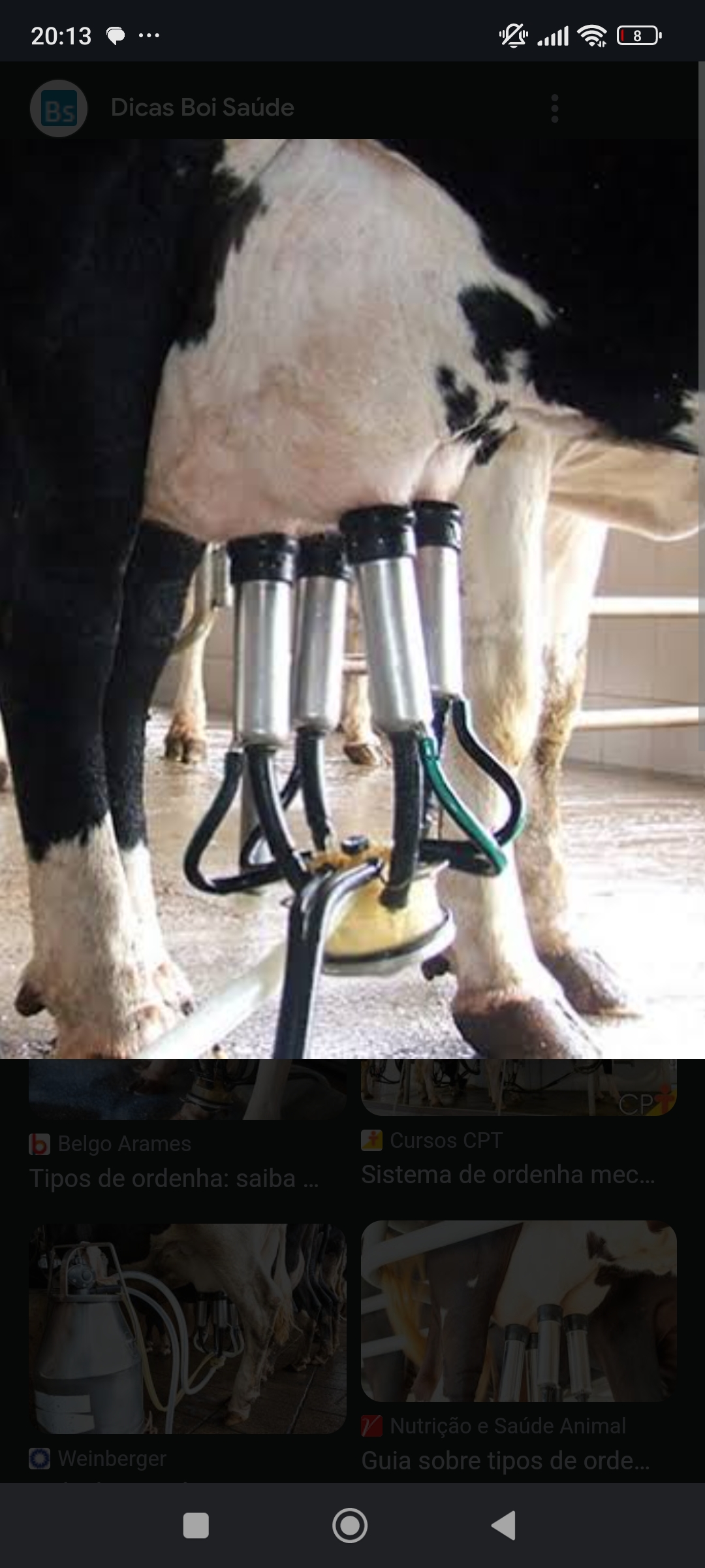 Pia da Ordenhadeira - Robson Oliveira | Hotmart