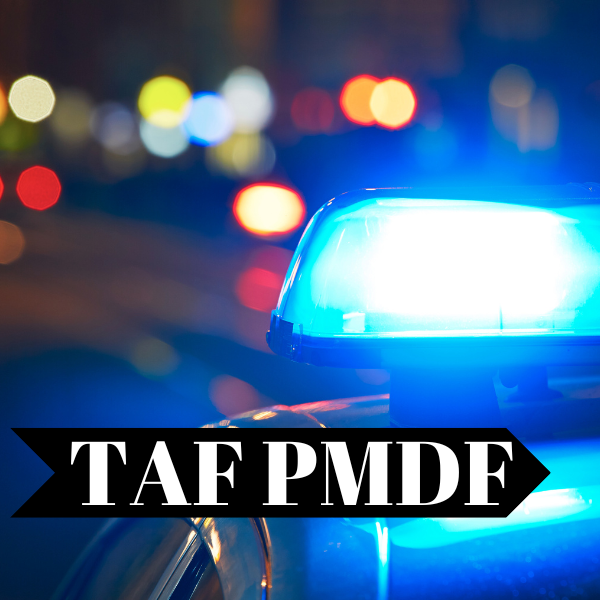 Guia Completo de Treinos para a PMDF - Titan Personal trainer e Pil...