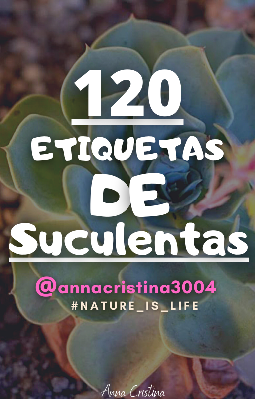 120 Etiquetas de SUCULENTAS