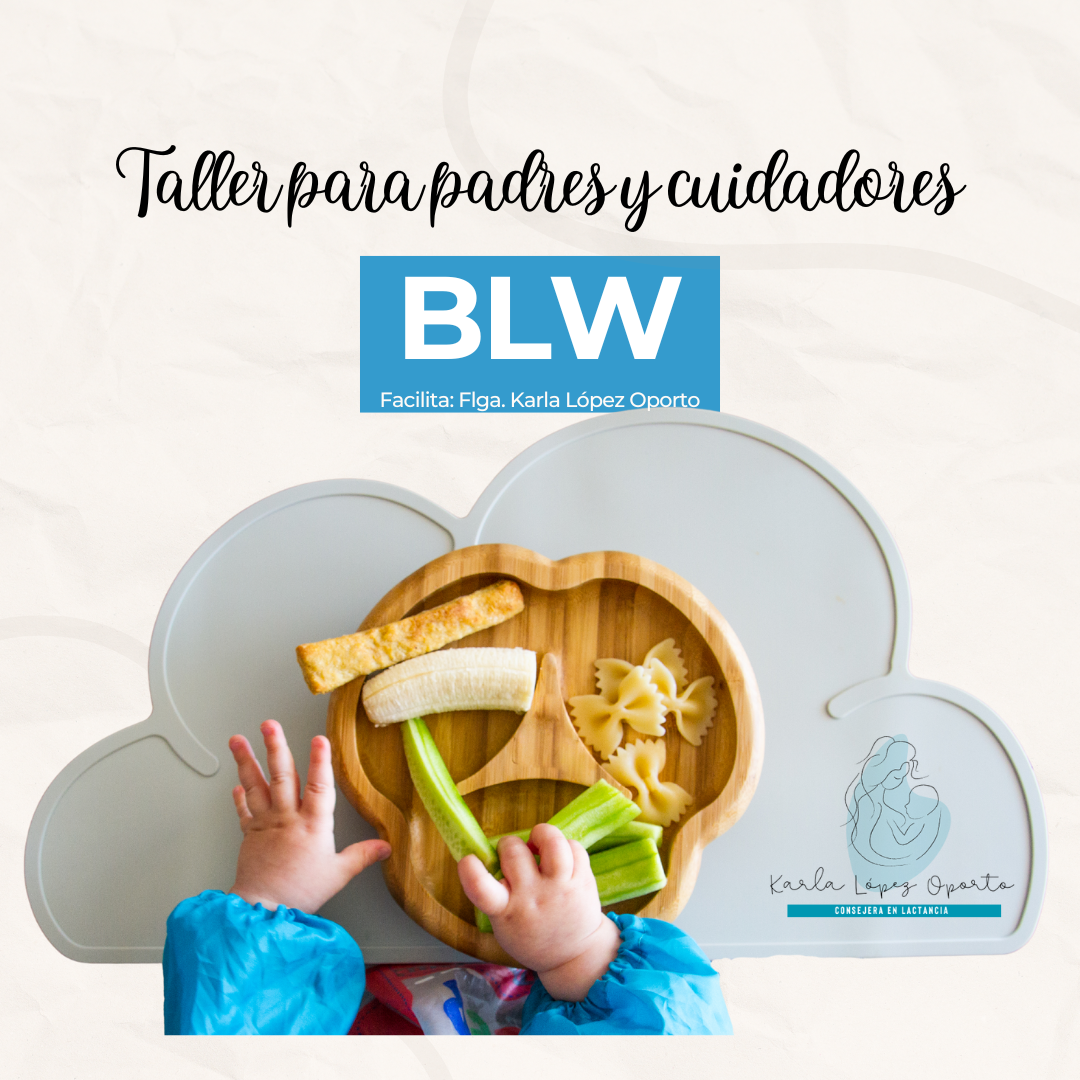 Taller BLW para Padres - Karla López Oporto | Hotmart