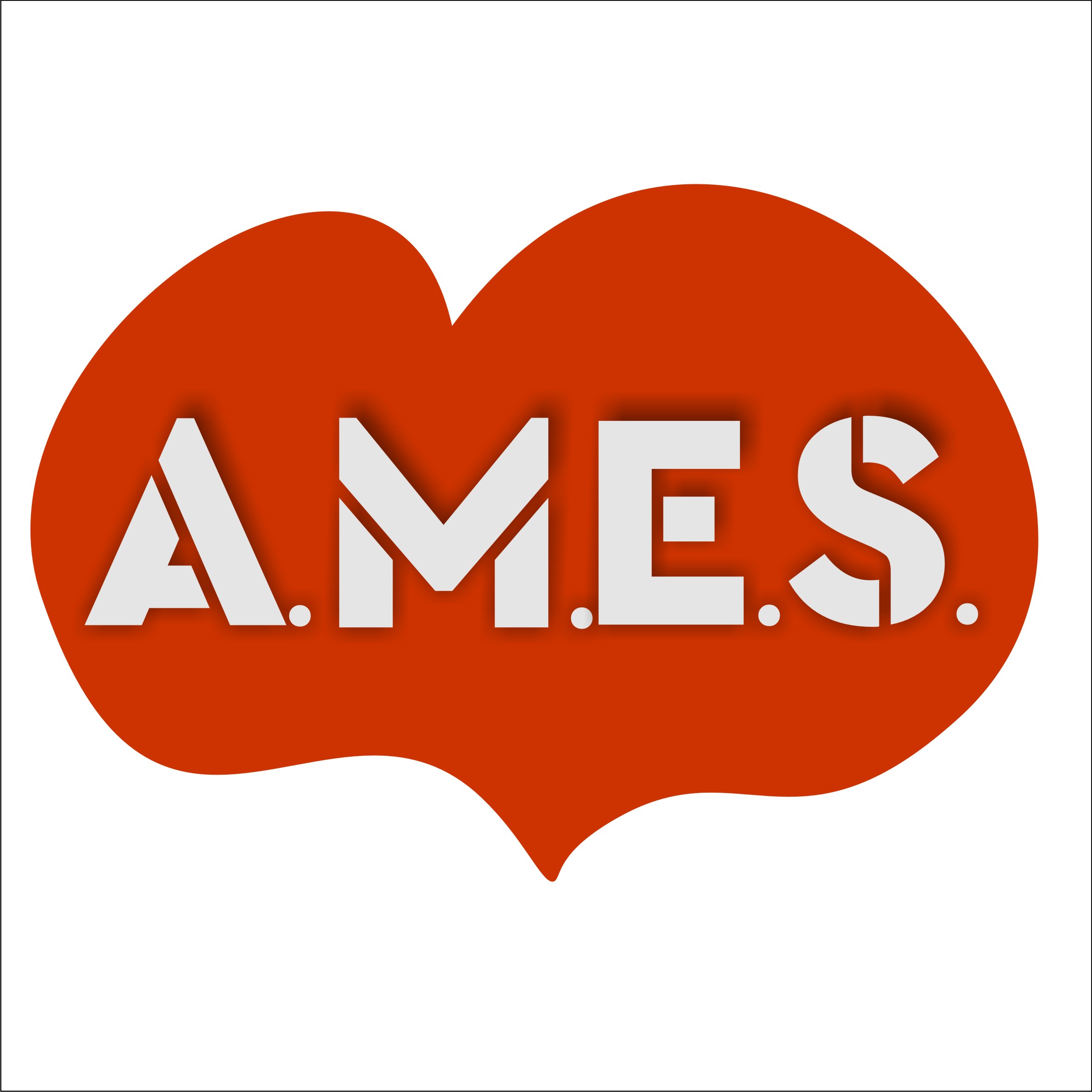 Método para que tu A.M.E.S.